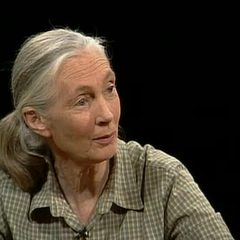 Lavinia Currier — Charlie Rose