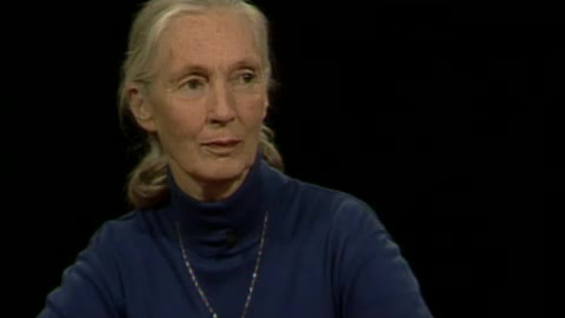 Jane Goodall — Charlie Rose