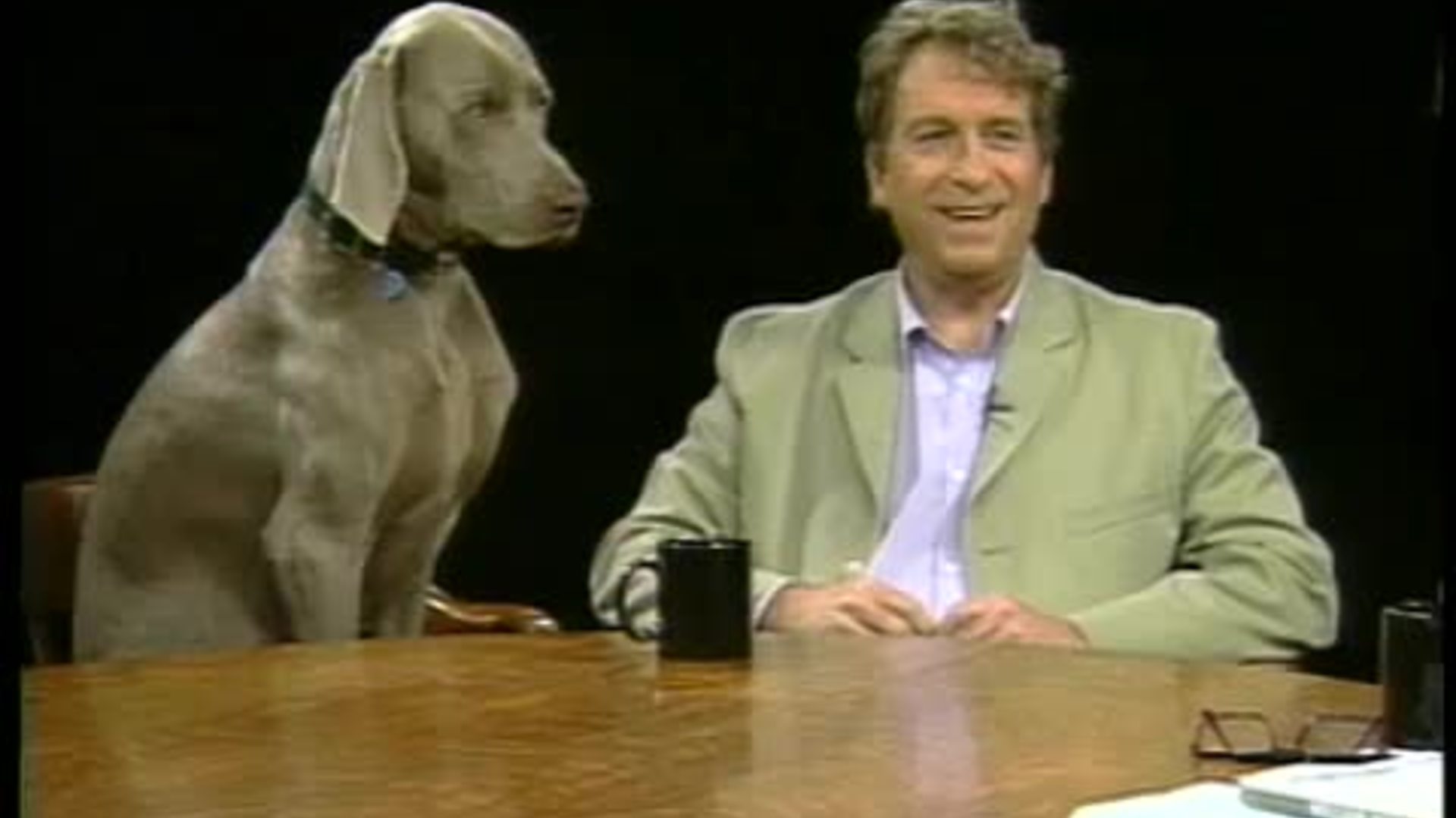 William Wegman — Charlie Rose