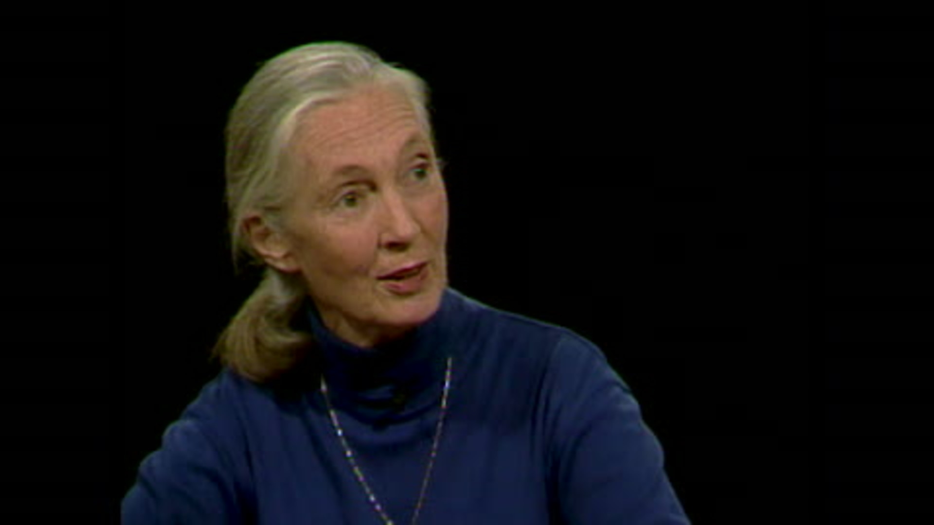 Remembering Jane Goodall — Charlie Rose